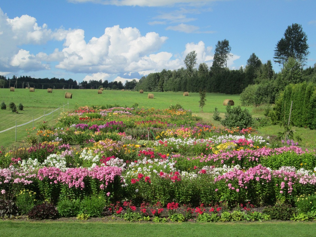 Nõrga talu pilt 1 | Loodusreisid